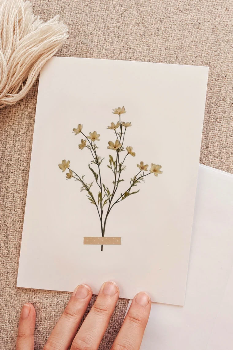 Dried Flower Card – Minimog NEXT demo